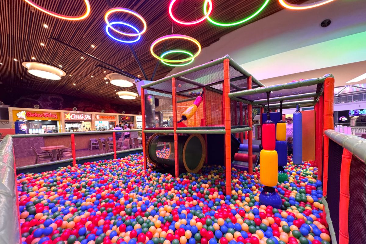 CRAZY FOREST - Altaplaza