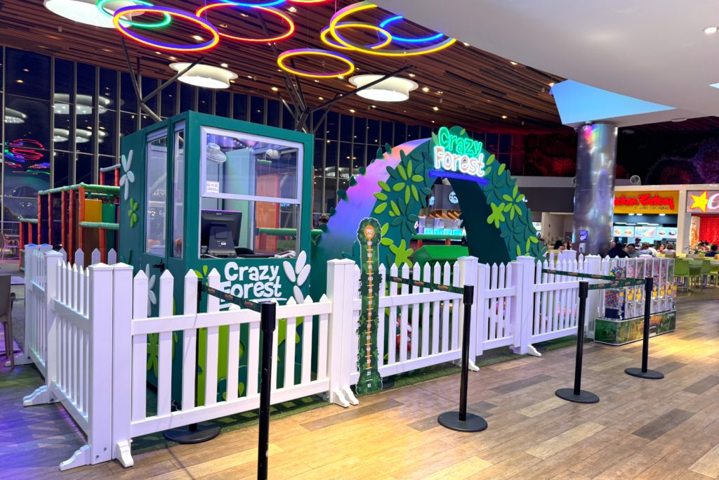 CRAZY FOREST - Altaplaza